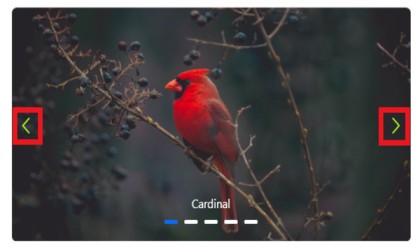 Style And Appearance in ASP.NET CORE Carousel Component | Syncfusion